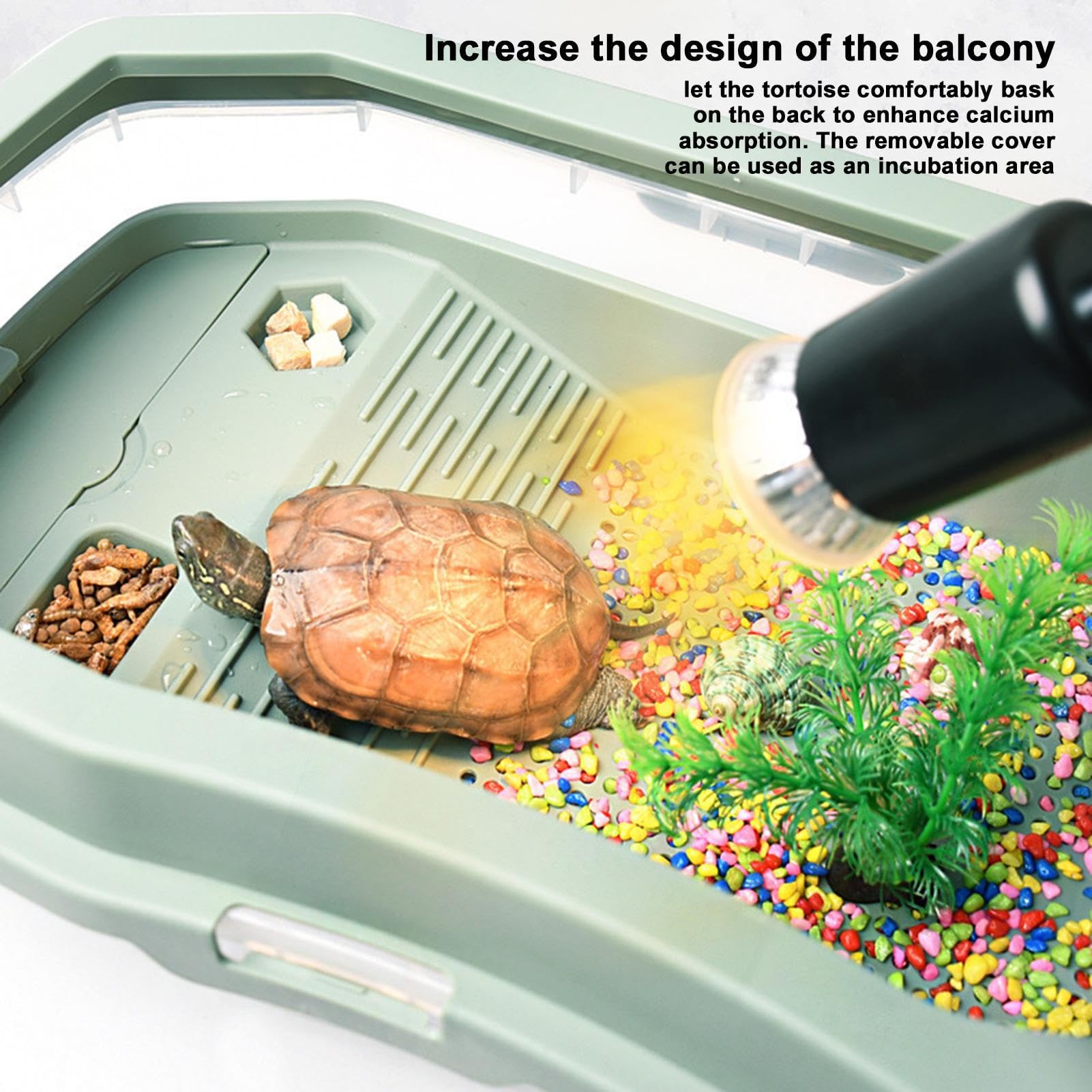 Tanque Para Tortugas Como Mascota Nuevo Tanque Para Tortugas Instalado