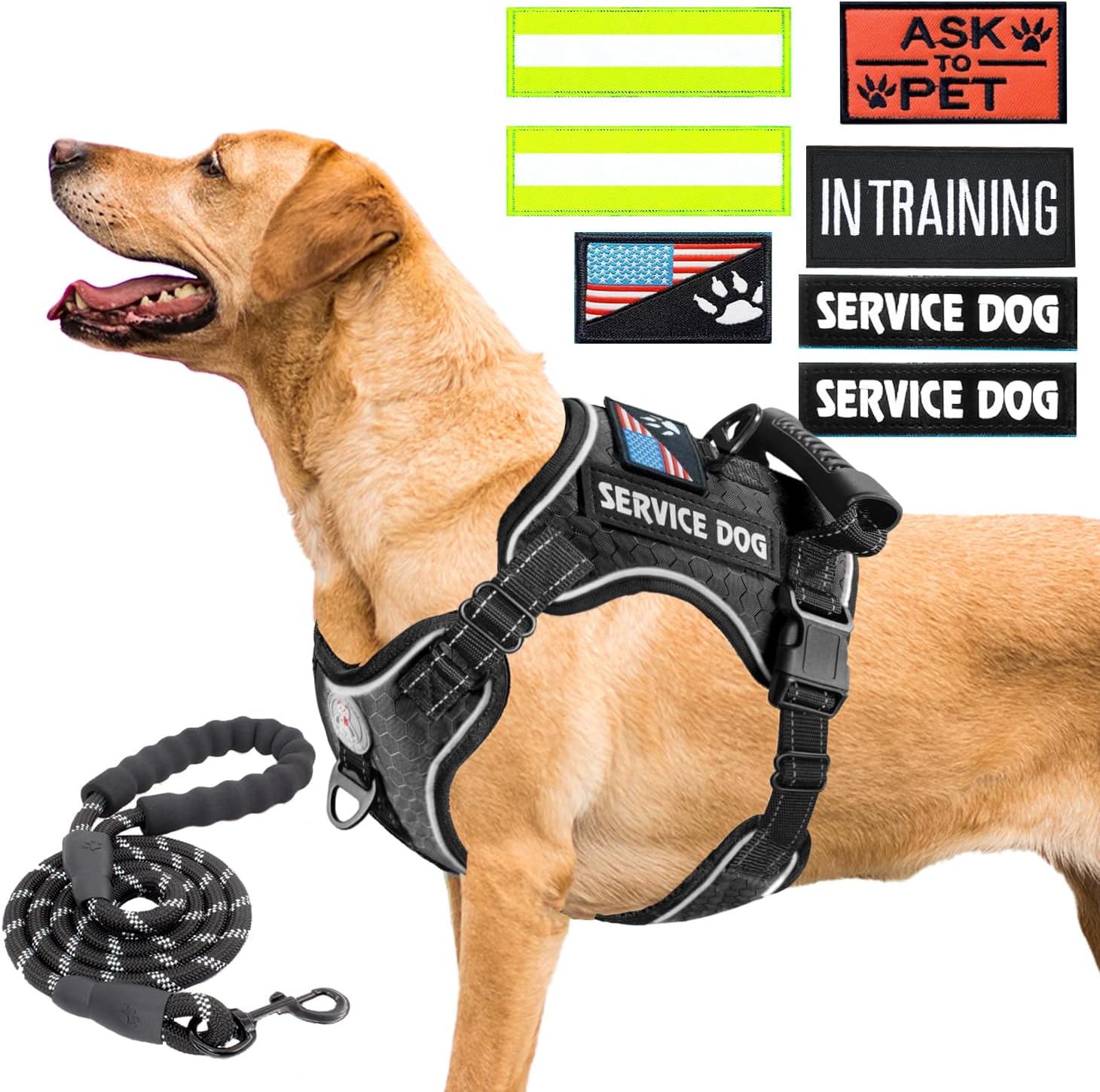 Amazon.com : Service Dog Vest, Service Dog in Training Vest, Dog ...