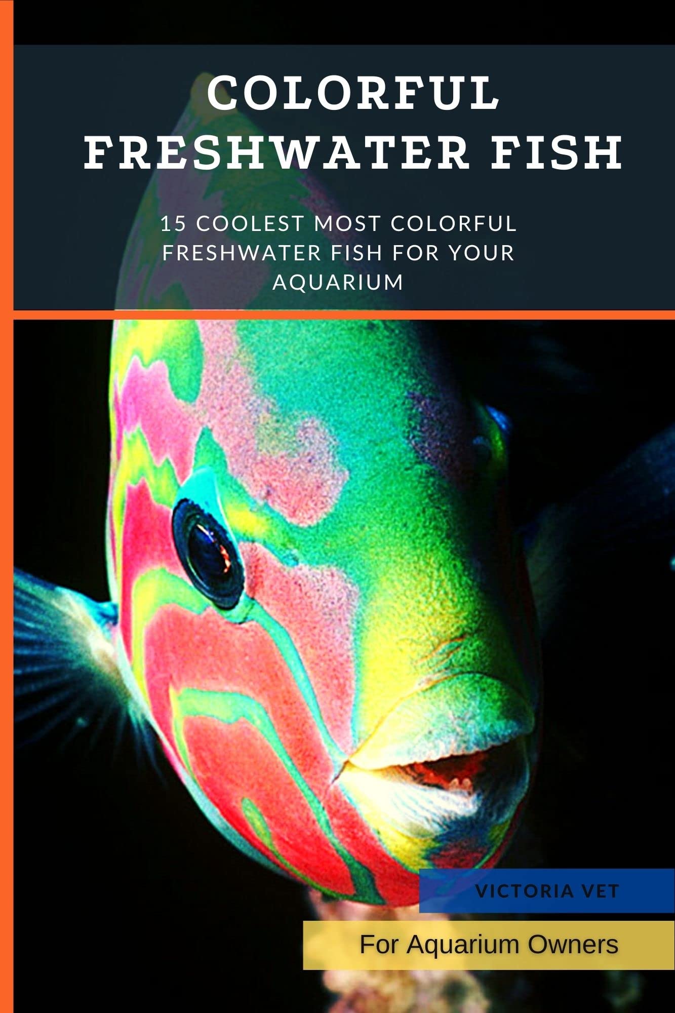 Buy Colorful Freshwater Fish: 15 Coolest Most Colorful Freshwater Fish ...