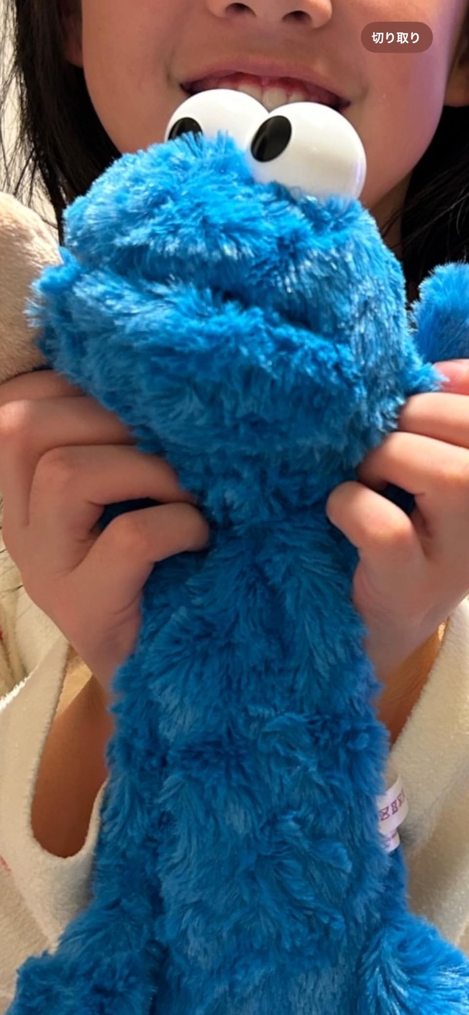 Amazon.co.jp: ニキ SESAME STREET(セサミストリート)/エルモ フィギュアポーチ 3090472 : おもちゃ