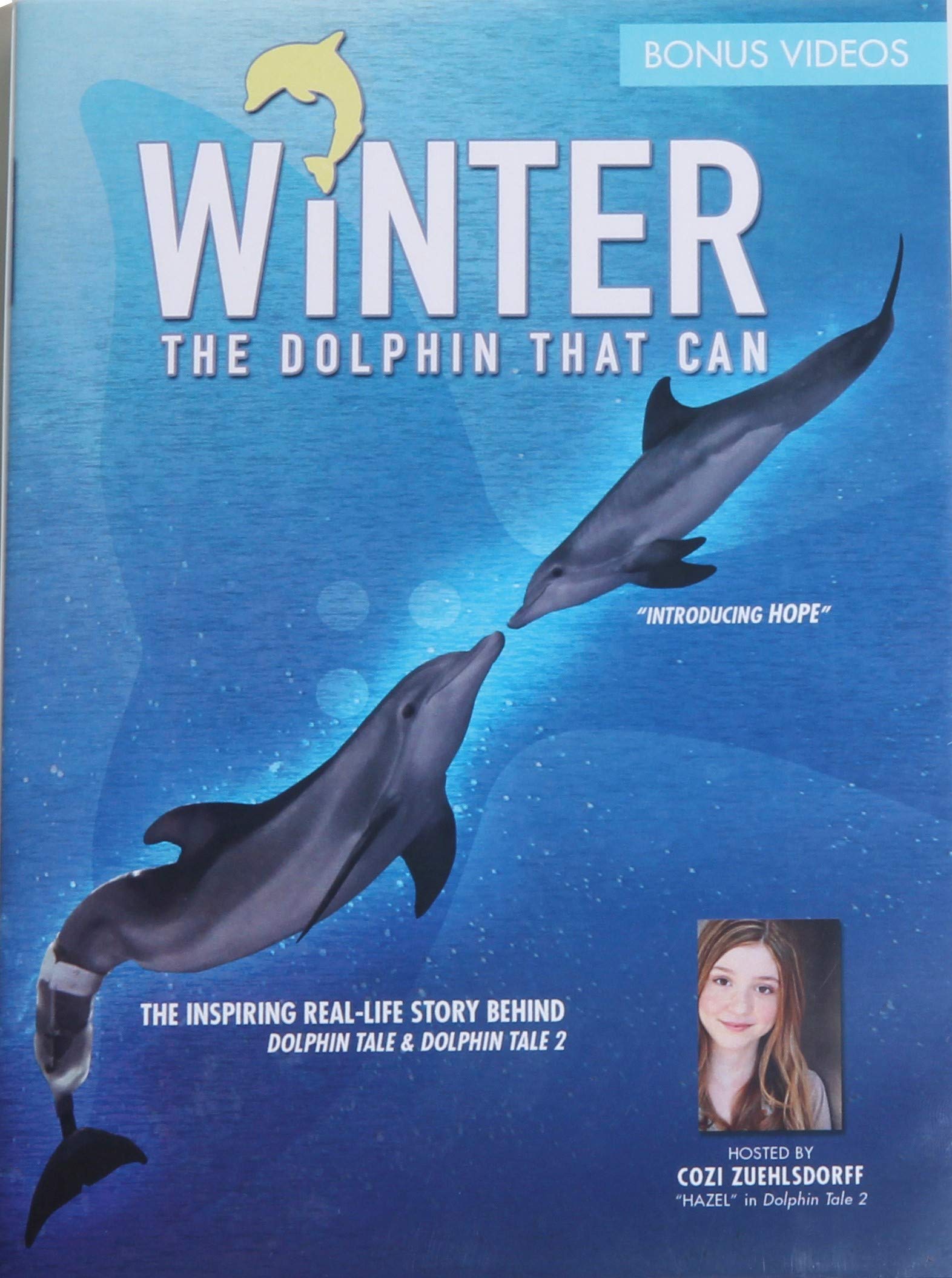 Winter Dolphin Tale Toys