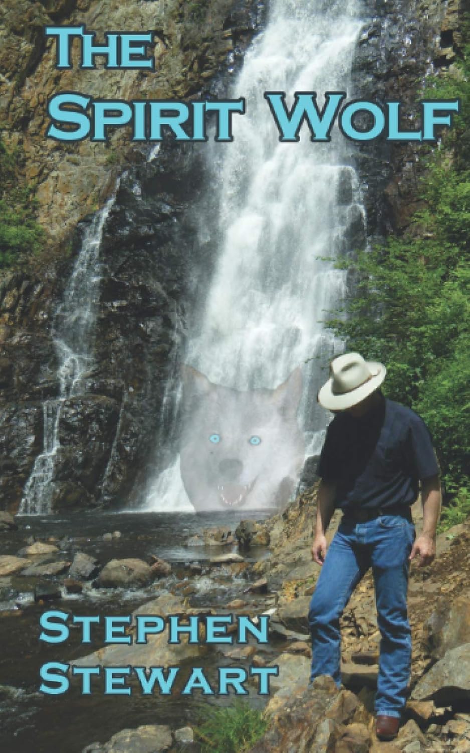 The Spirit Wolf: Stewart, Stephen: 9798634145860: Amazon.com: Books