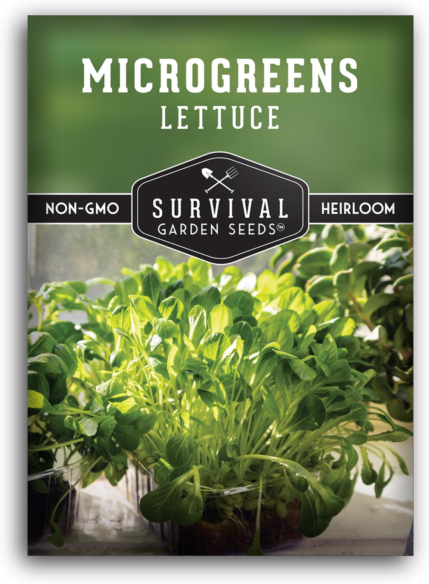 Amazon.com : This is a Mix 2000 Seeds Microgreens Mix 40 Varieties ...