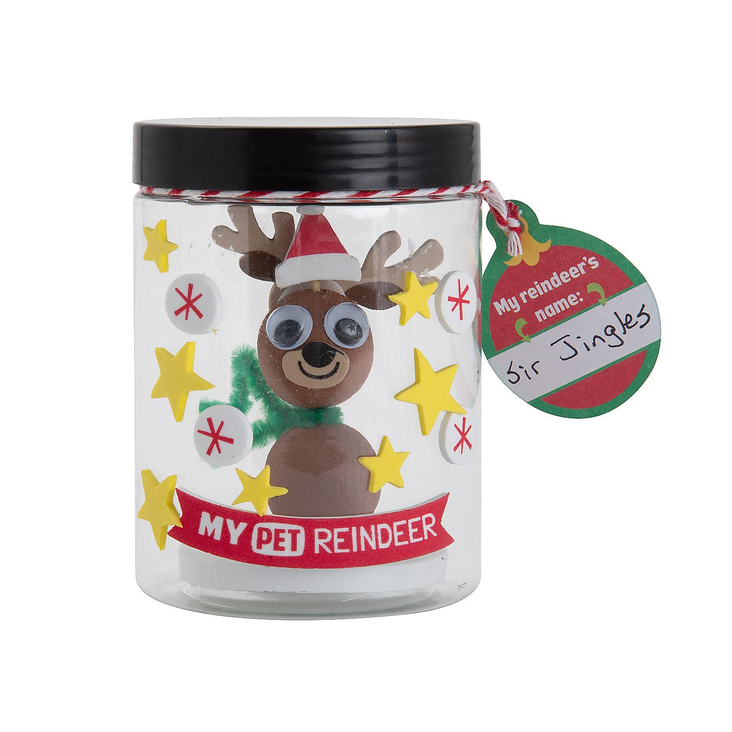 Amazon.com: I Caught a Reindeer Jar Craft Kit, Makes 6 : Toys & Games