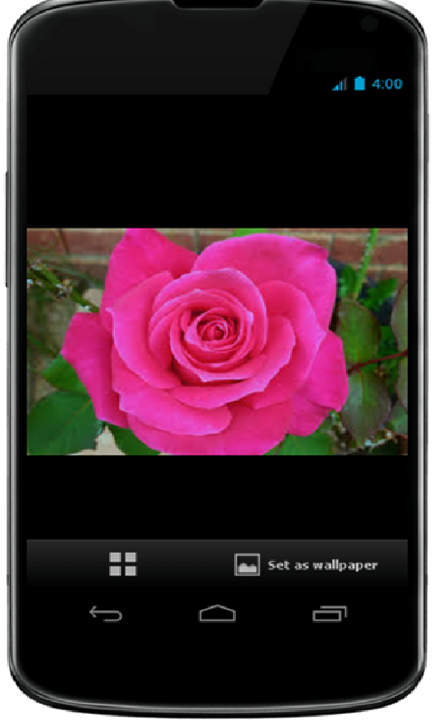 Pink Roses - App on Amazon Appstore