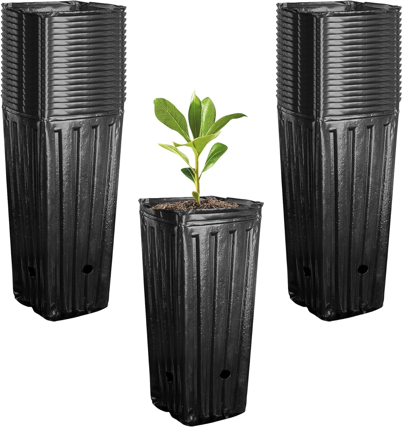 50Pcs Tall Tree Pots - Plastic Deep Nursery Treepots -24cm Tall ...