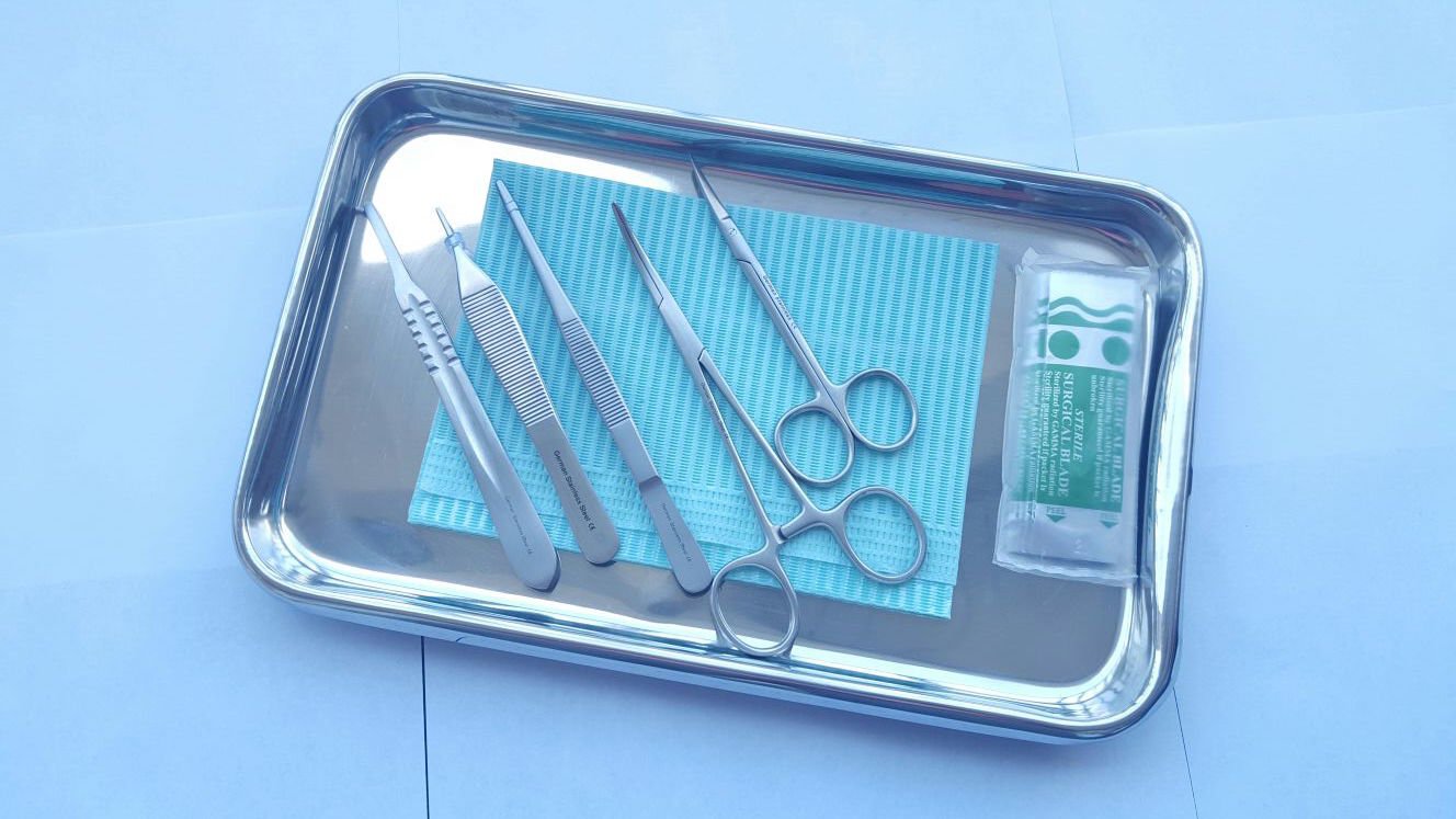 Amazon.com: Basic Pig Swine Neutering Dissection Kit Set German Tools ...