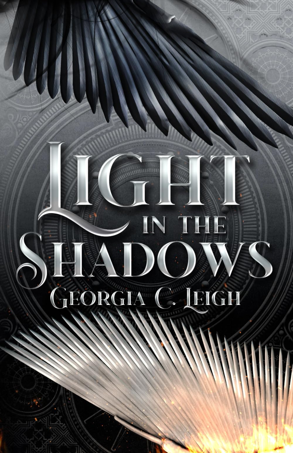 Light in the Shadows: Book 1: Shadows and Light (1 of 4): Leigh ...