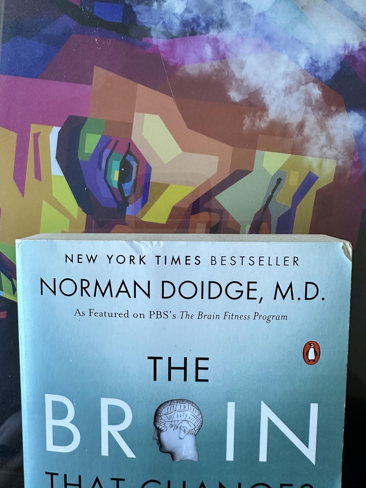 The Brain That Changes Itself: Stories of Personal Triumph from the ...
