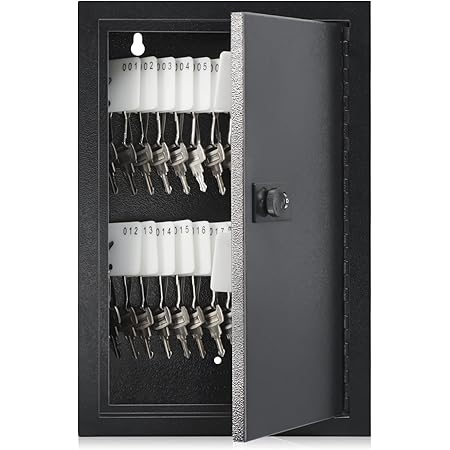 Amazon.com : Amazon Basics 24-Key Position Cabinet lock Box, Silver, 12 ...