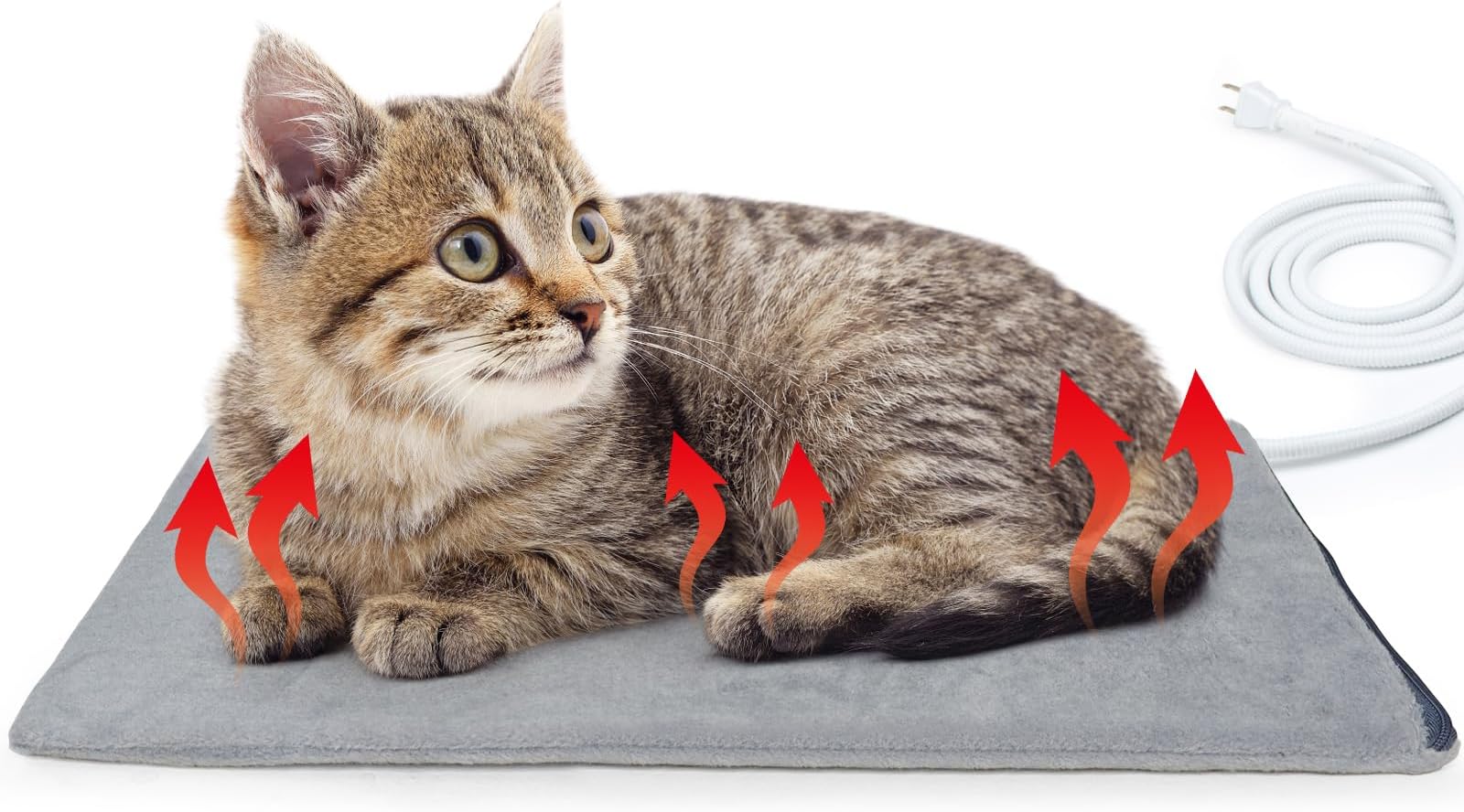 Amazon.com : PETZOOKA Pet Heating Pad for Cats and Small Dogs,Heated ...