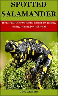 Understanding The Carnivorous Diet Of Salamanders | PetShun