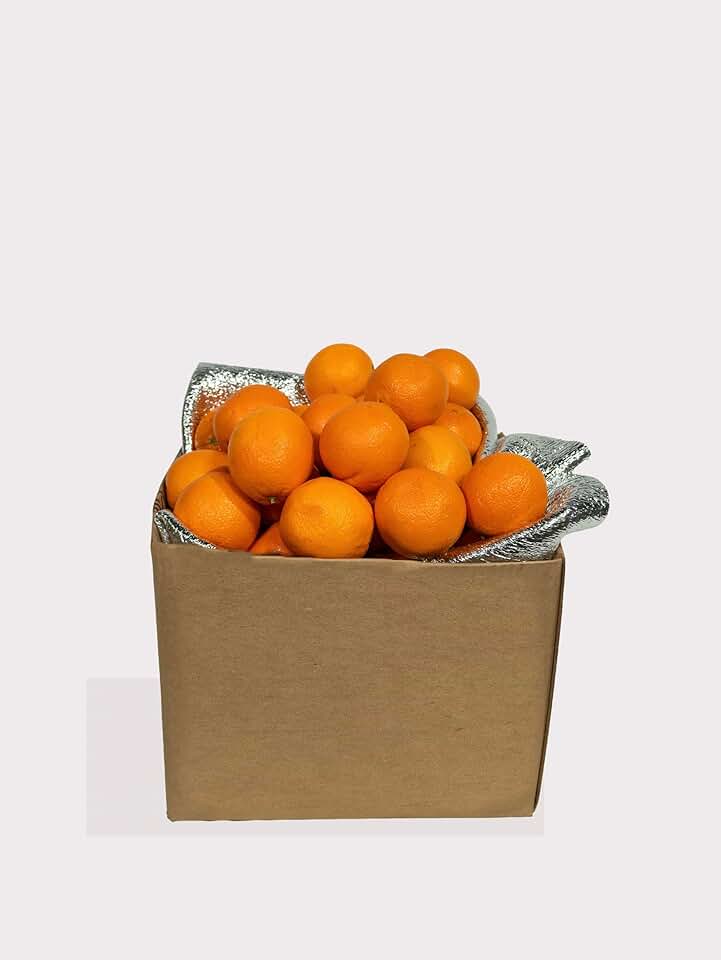 Amazon.com: Oranges - Citrus Fruits: Grocery & Gourmet Food