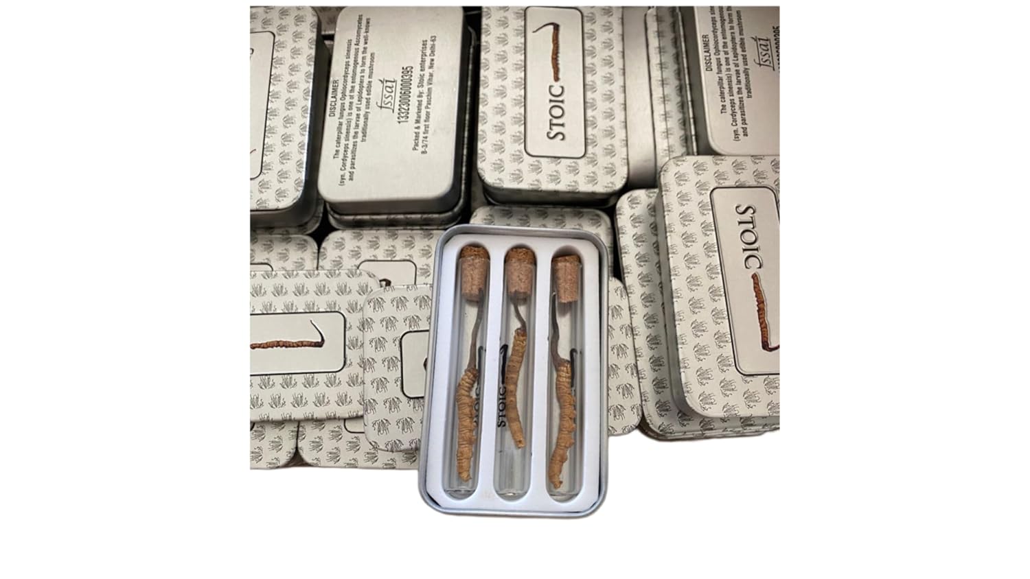 Buy Keeda jadi is Caterpillar Fungus Ophiocordyceps sinensis (12 Pieces ...