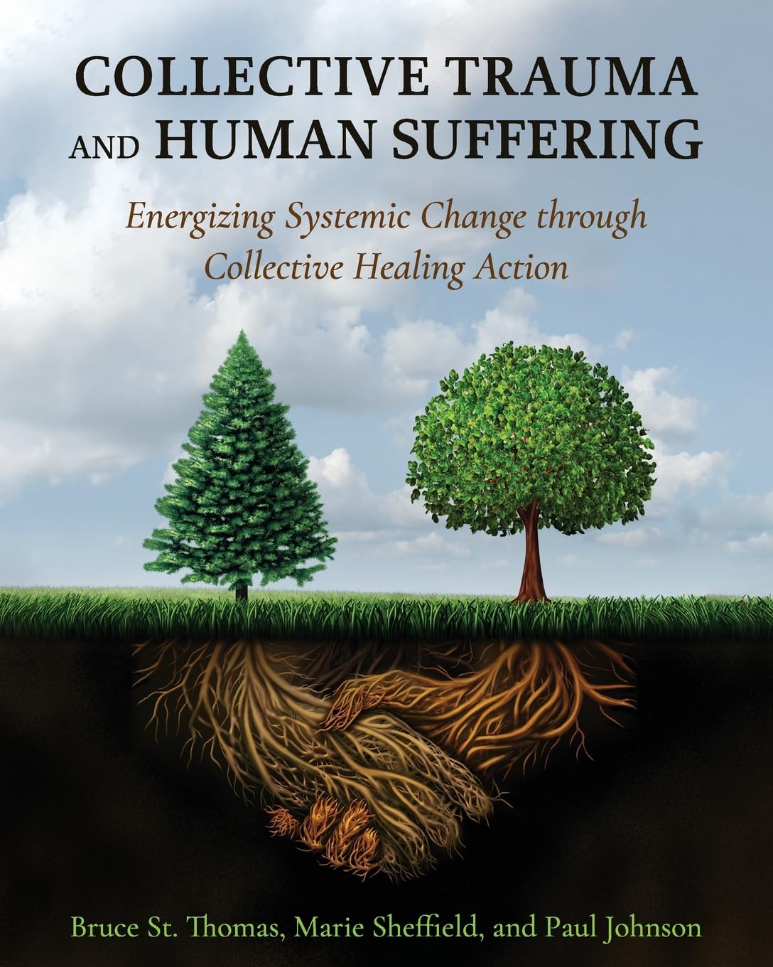 Collective Trauma and Human Suffering: Energizing Systemic Change ...