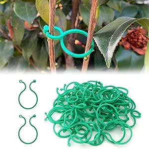 Secured Plant Clip, 2024 Upgrade Plant Clips, Plastic Climbing Plant ...