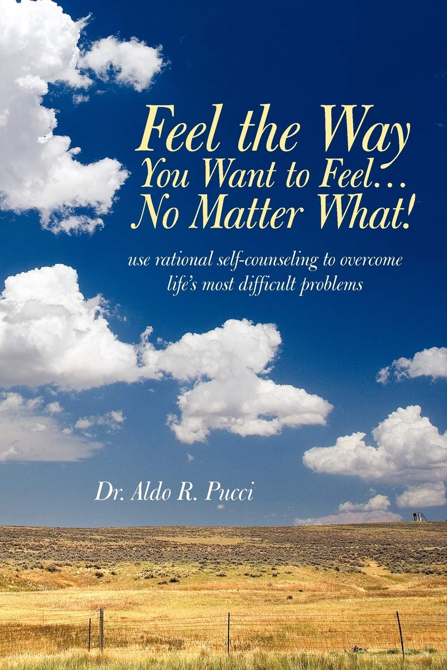 Feel The Way You Want To Feel . . . No Matter What!: Pucci, Aldo R ...