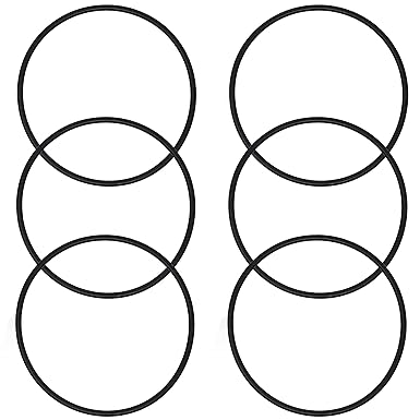 Amazon.com: 357255 Replacement Lid O-Ring for Pentek Pentair Pool and ...