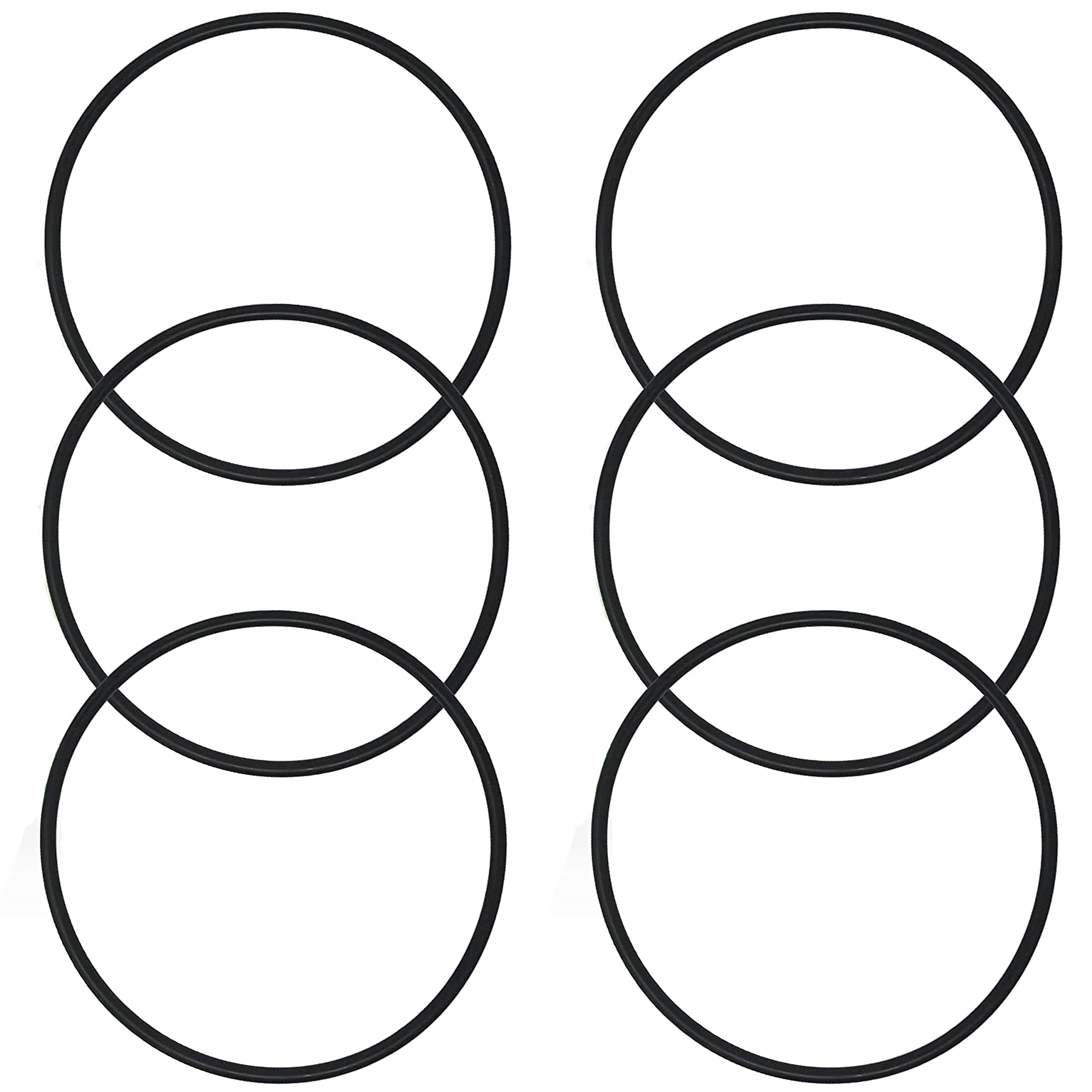 Amazon.com: 357255 Replacement Lid O-Ring for Pentek Pentair Pool and ...