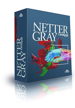 Netter Gray. L'anatomia: Anatomia del Gray-Atlante di anatomia umana di ...