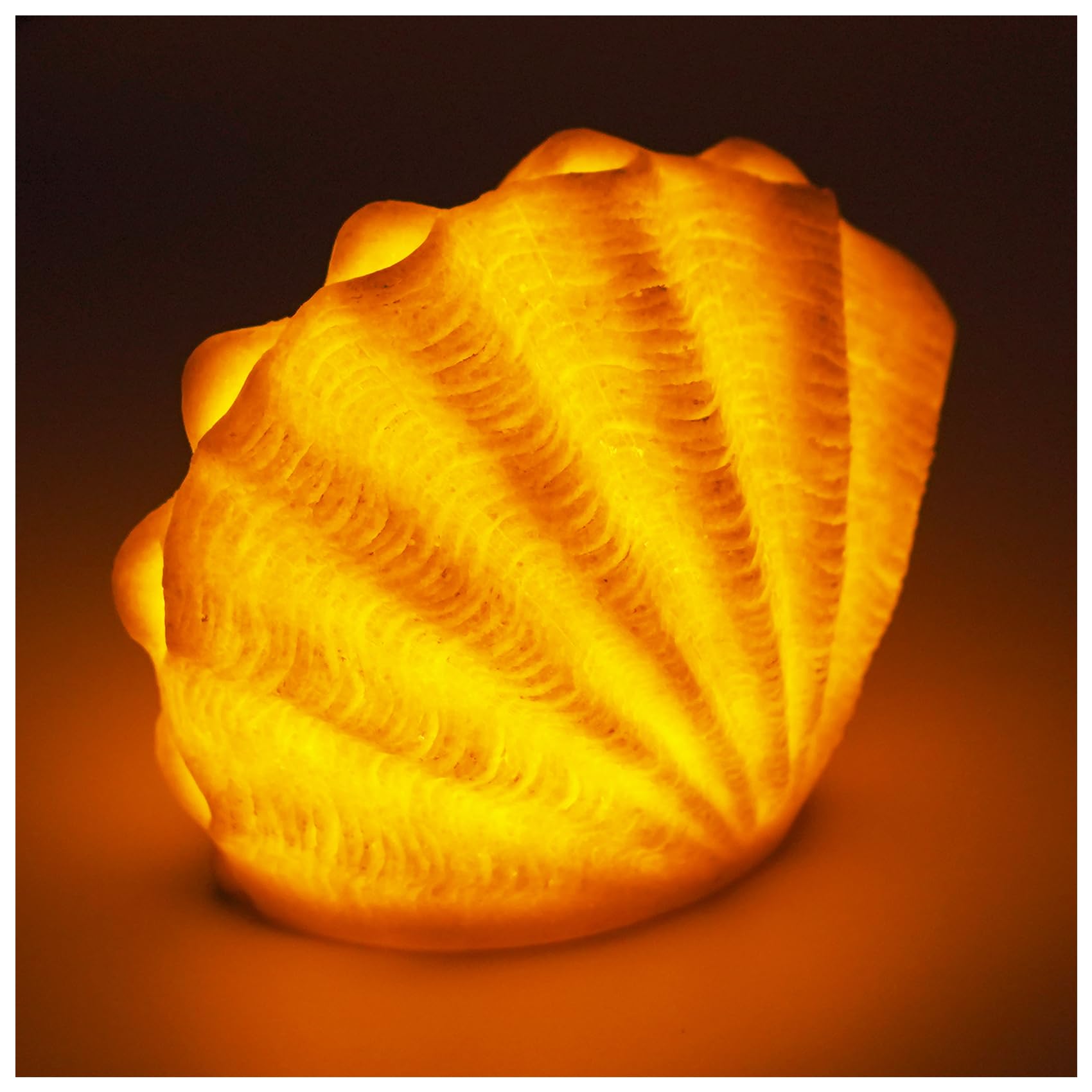 Shell Lamp- Battery Night Light, Decorative Night Light for Kids, Auto ...