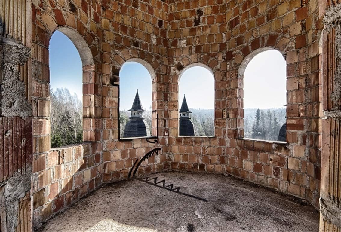 Amazon.com : Leyiyi 10x8ft Abandoned Castle Backdrop Tower Room ...