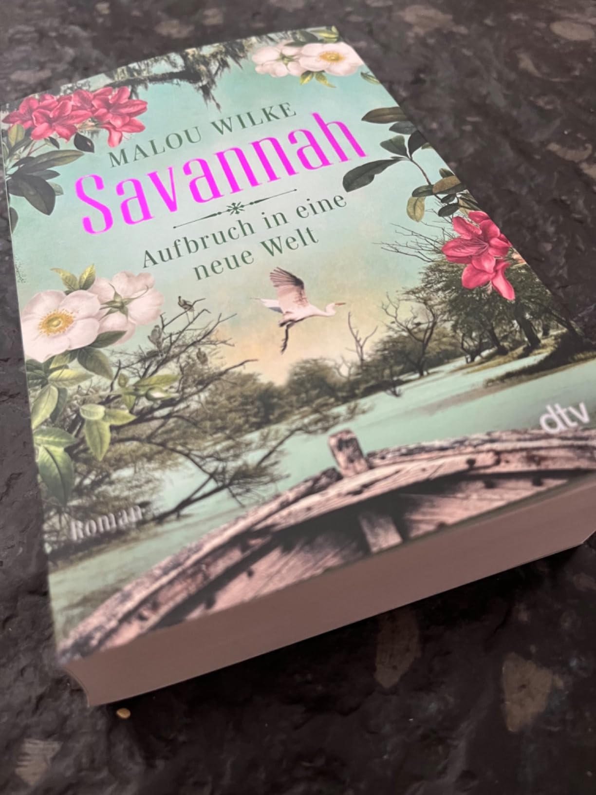 Savannah – Aufbruch in eine neue Welt: Roman | Eine mutige junge Frau, die 1733 nach Amerika ...