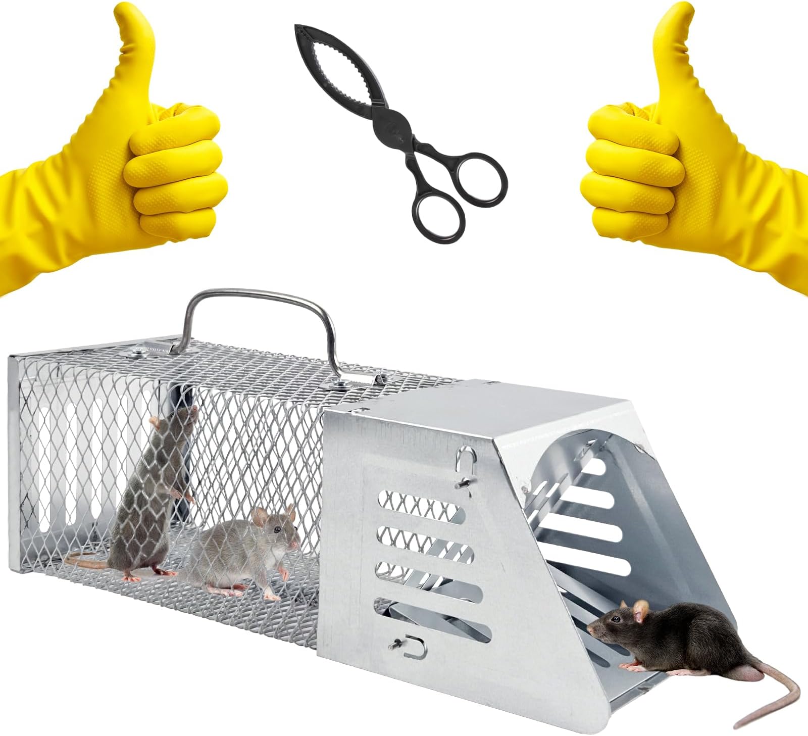 Amazon.com : 2 Pack Humane No Kill Mouse Traps Bucket Lid with Gloves ...