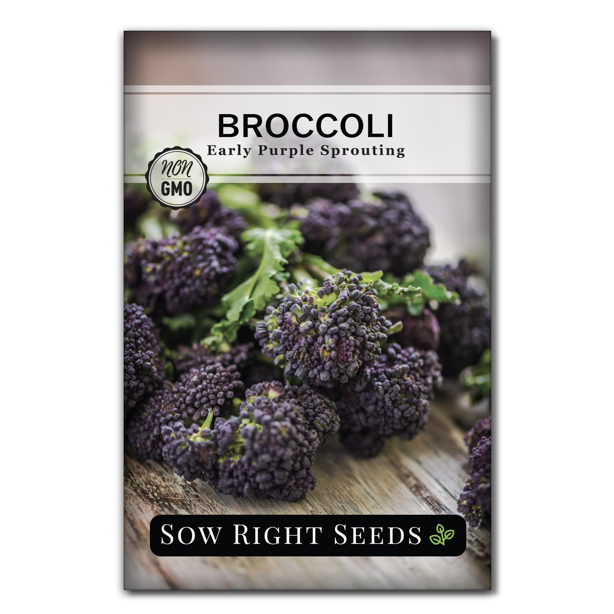 Amazon.com : Sow Right Seeds - Early Purple Sprouting Broccoli Seeds ...
