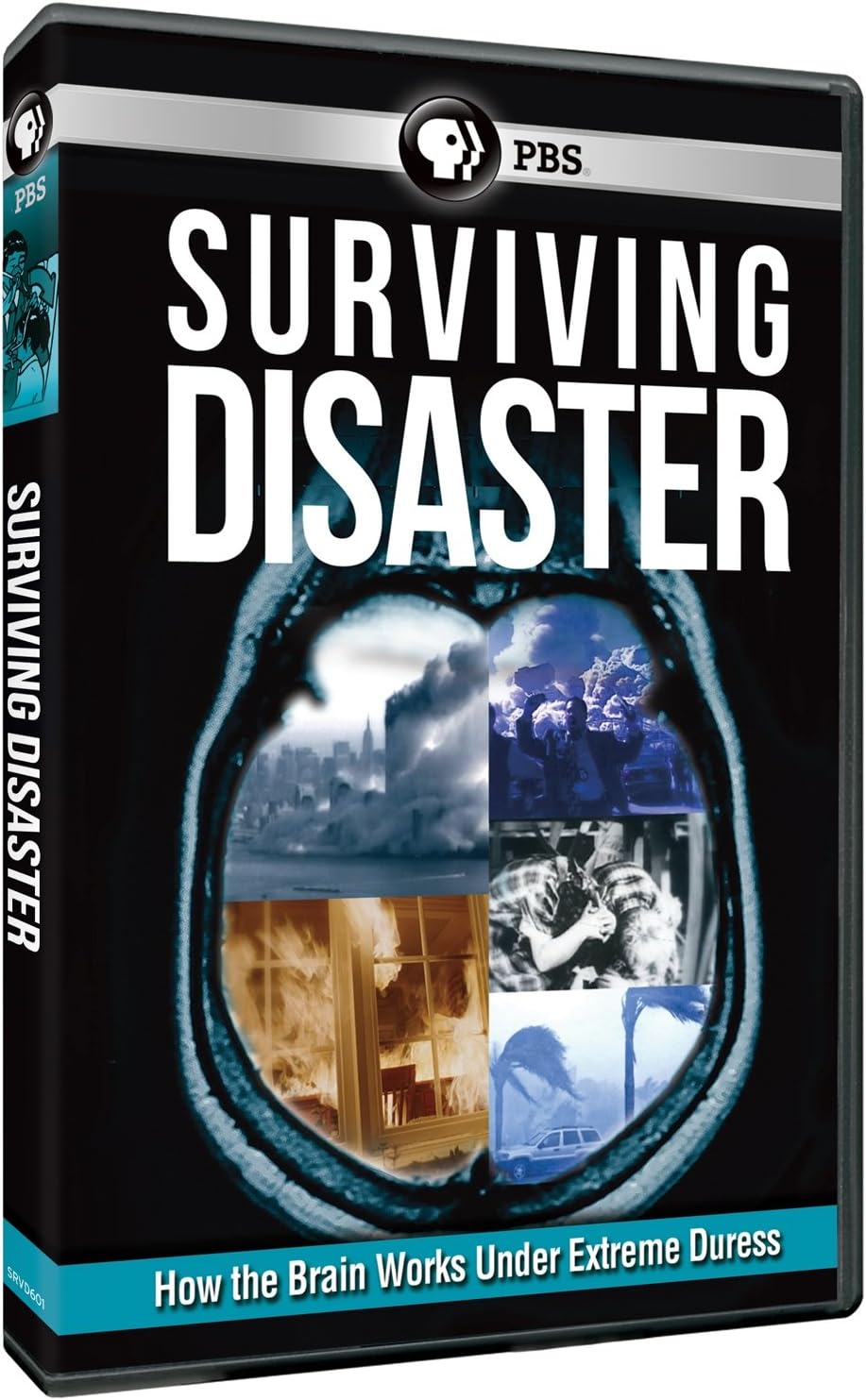 Surviving Disaster with Amanda Ripley: Amazon.ca: Eli Brown, Lennlee ...