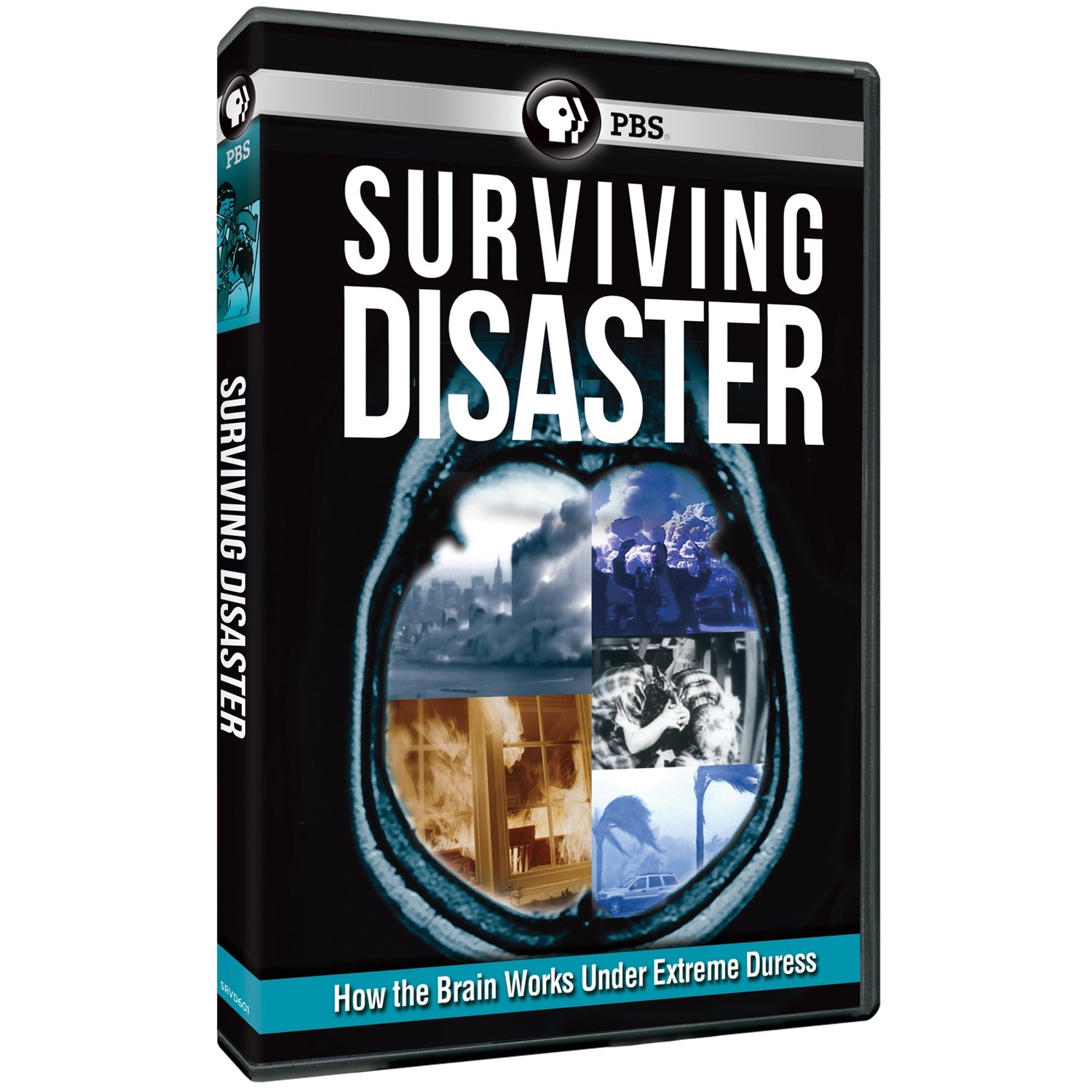 Surviving Disaster: Amazon.es: Ripley, Amanda: Películas y TV