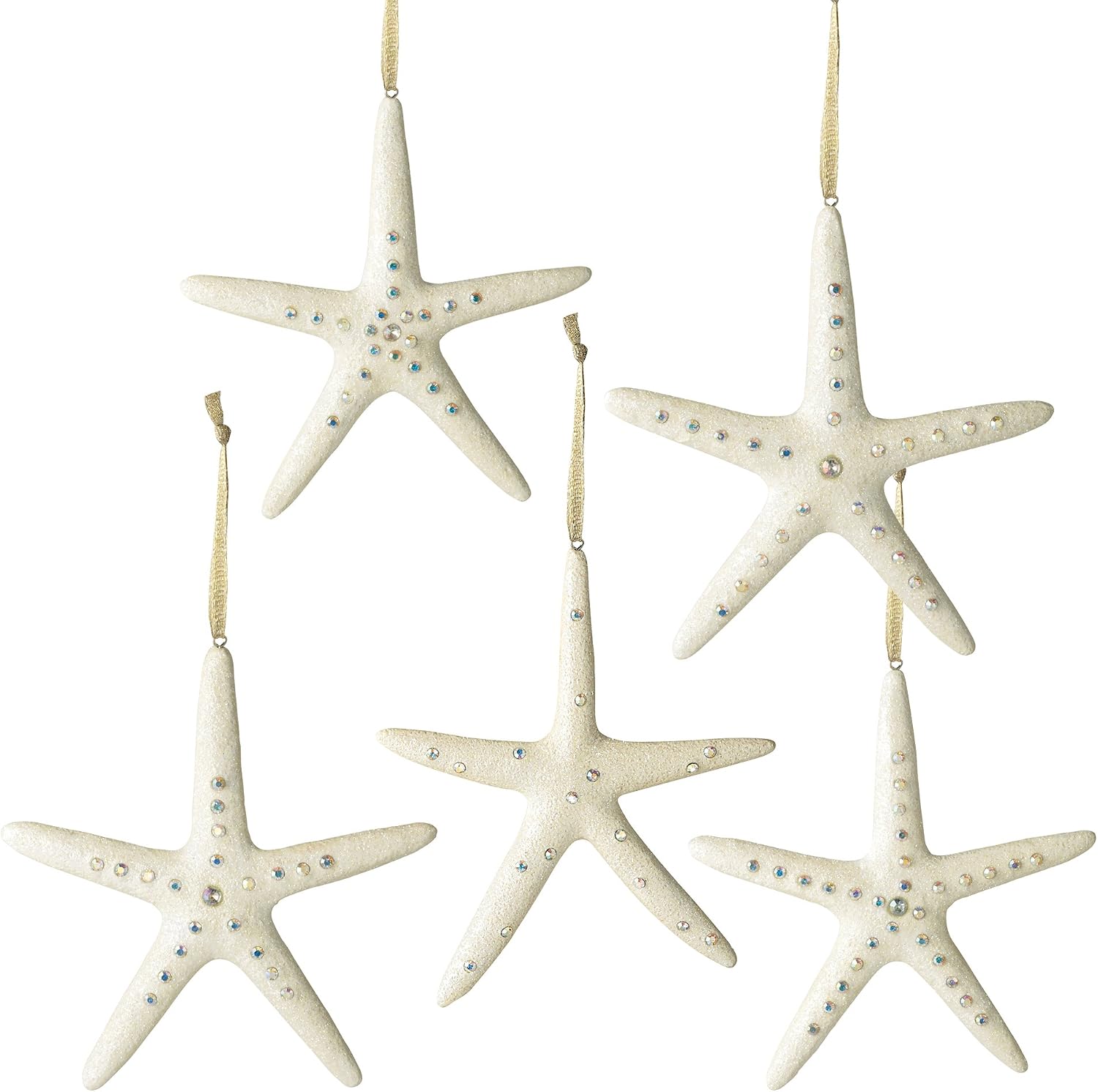 Amazon.com: Grasslands Road Starfish Ornament Assortment, 8-Inch, White ...