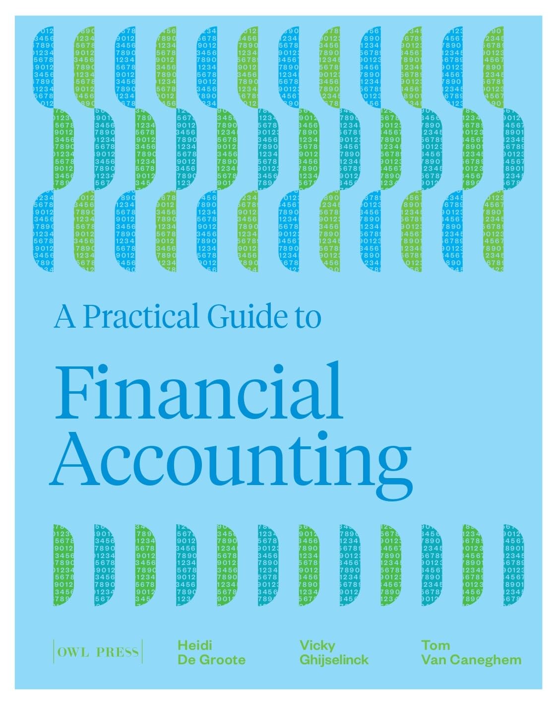 A Practical Guide to Financial Accounting : De Groote, Heidi ...