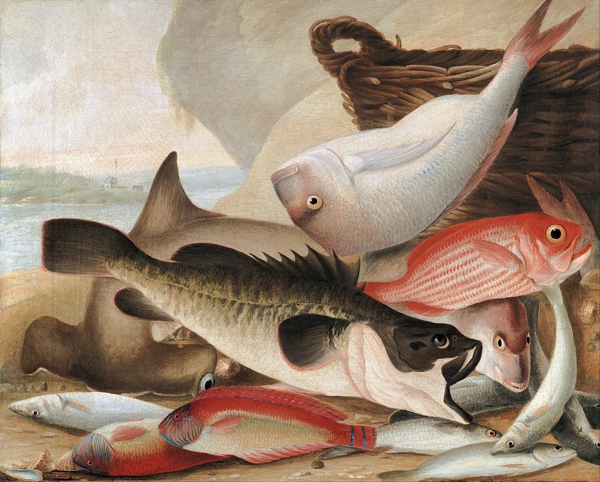 Abstract Fish Paintings By Famous Artists