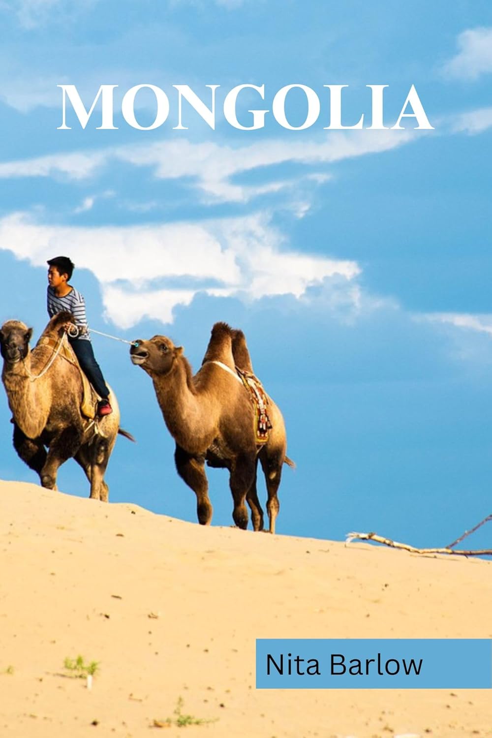 Amazon.com: MONGOLIA TRAVEL GUIDE 2024 EDITION (Nita's Globe-trotter Guides) eBook : Barlow ...