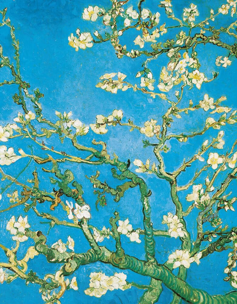 Amazon.com: Van Gogh (Blank Book): 9783955703103: unknown author: Books