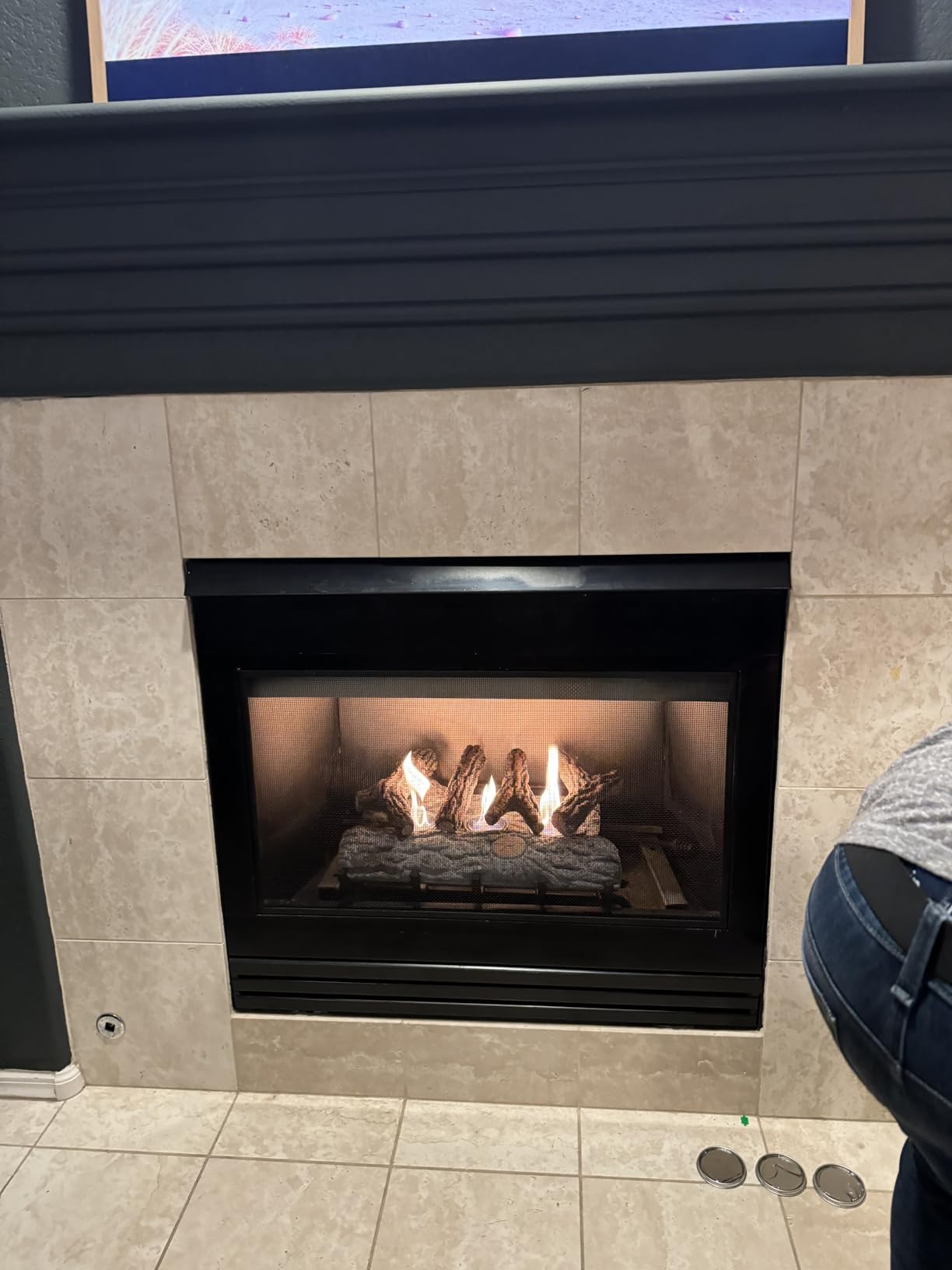 Amazon.com: TerraFlame Indoor Ventless Freestanding Gel Fuel Concrete ...