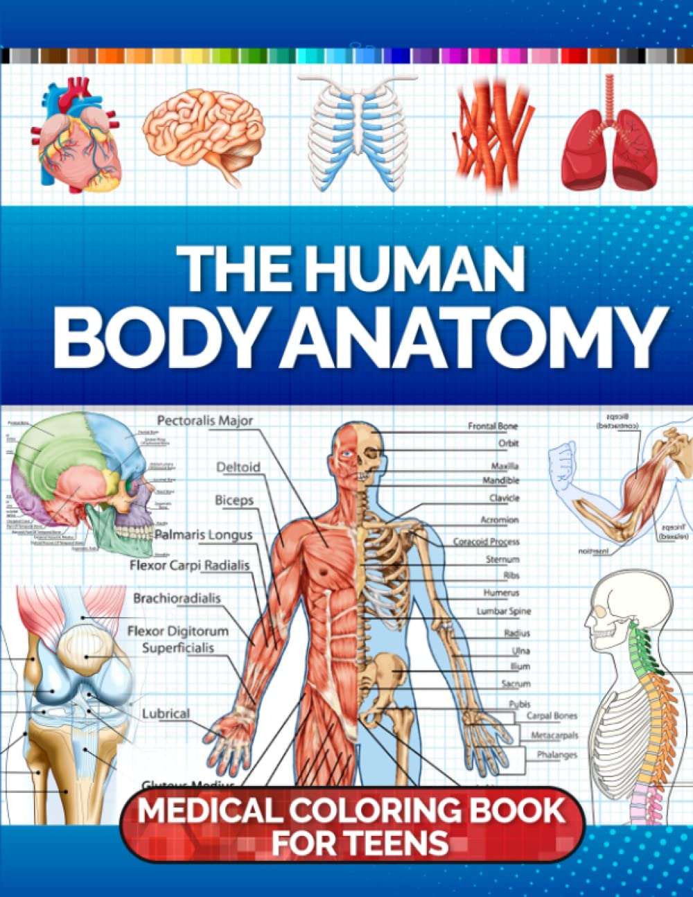 The Human Body Anatomy Medical Coloring Book for Teens: A Coloring ...
