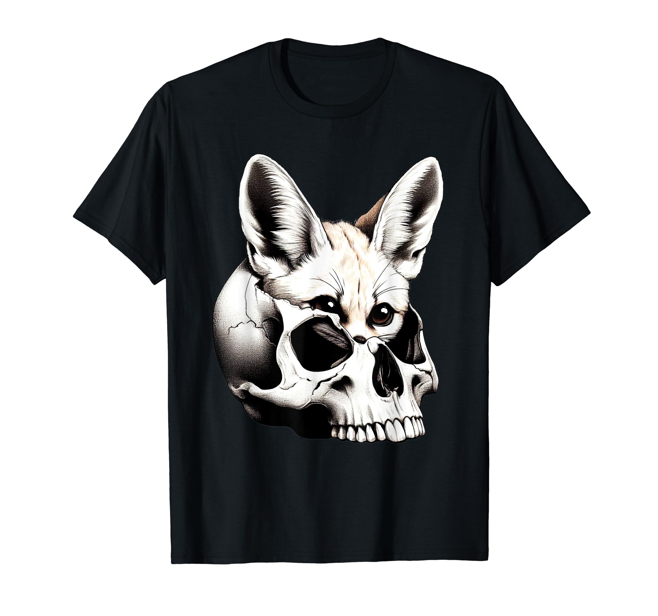 Fennec Fox Skeleton