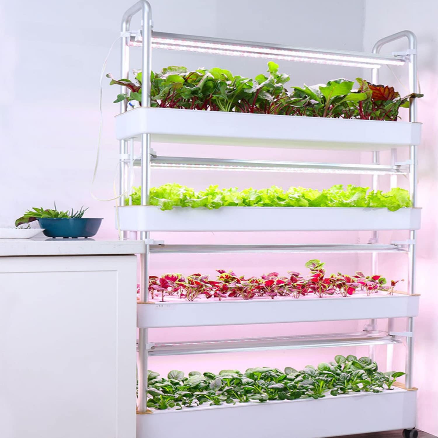 Amazon.com : TAHALI Indoor Garden Hydroponic Growing System,3/4 Tier ...