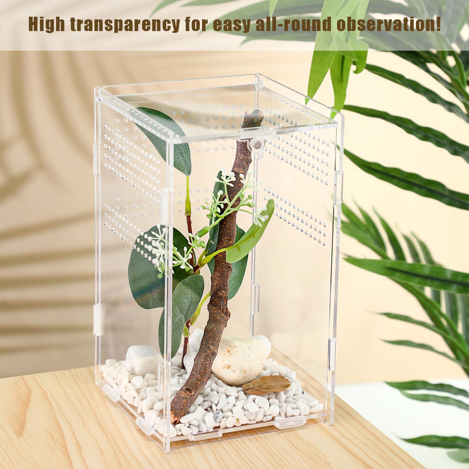 Snapklik.com : Suzile Jumping Spider Terrarium Tarantula Enclosure ...