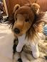 Amazon.com: Douglas Whispy Sheltie Dog Shetland Sheepdog Plush Stuffed ...