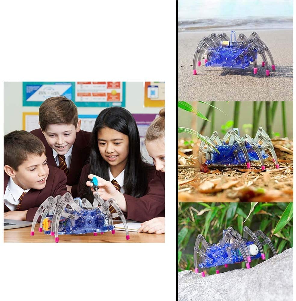 Buy Battery Operated Electronic Spider Robot - STEM Educational DIY ...