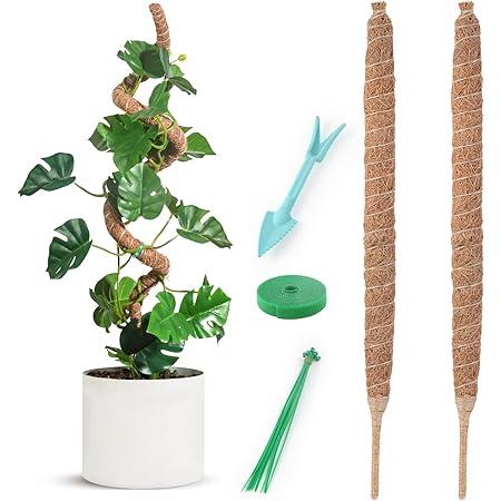 Amazon.com : Pisol Moss Pole for Plants Monstera, Extendable Plant ...
