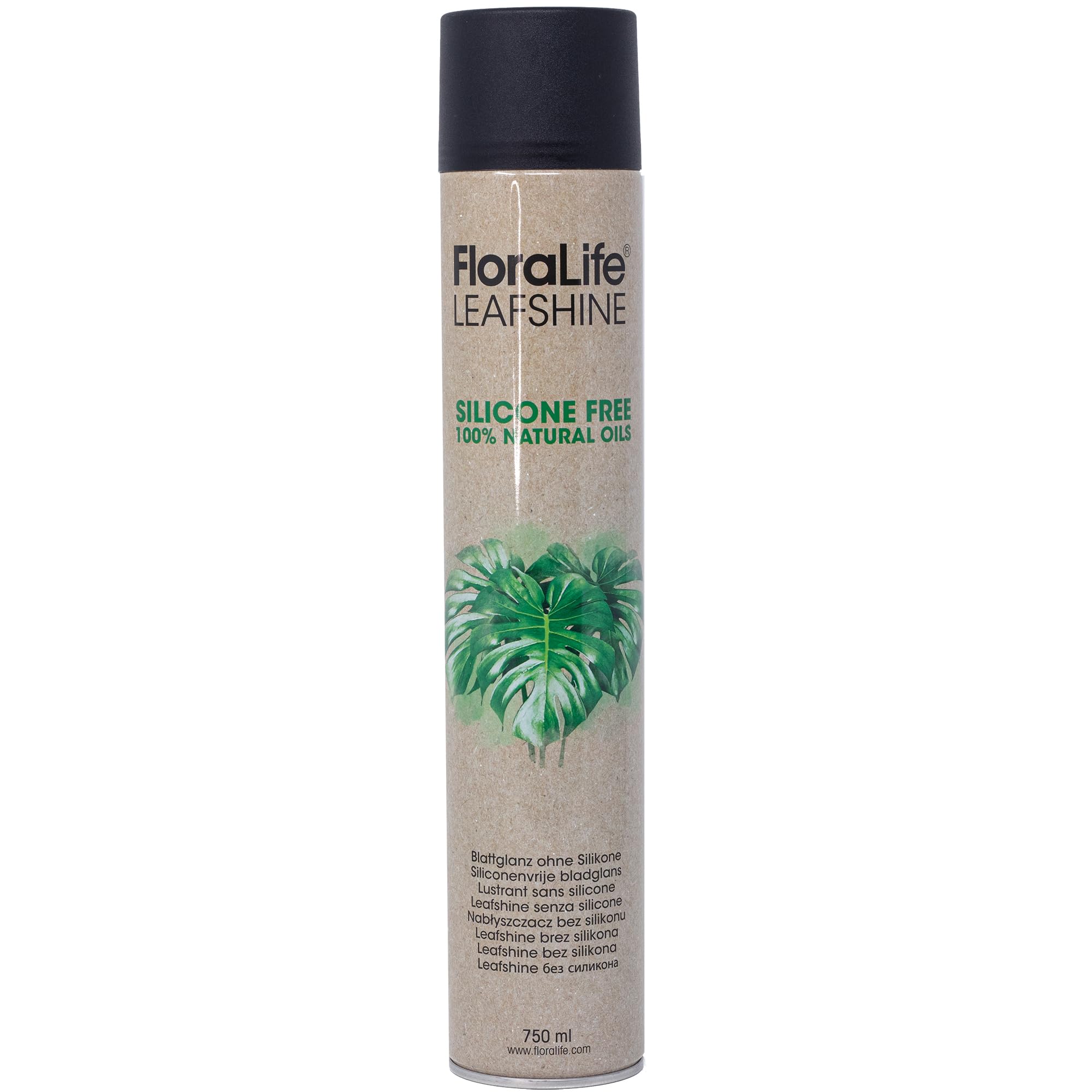 Flowerbox Oasis Floralife Leaf Gloss without Silicone, 750 ml Spray ...