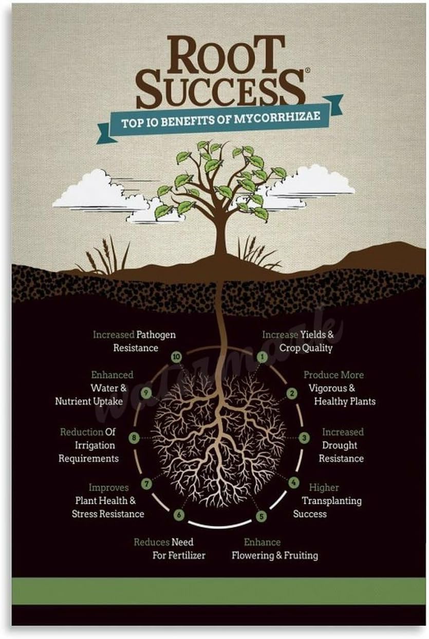Amazon.com: Root Success Top 10 Benefits of Mycorrhizae Poster Nutrient ...