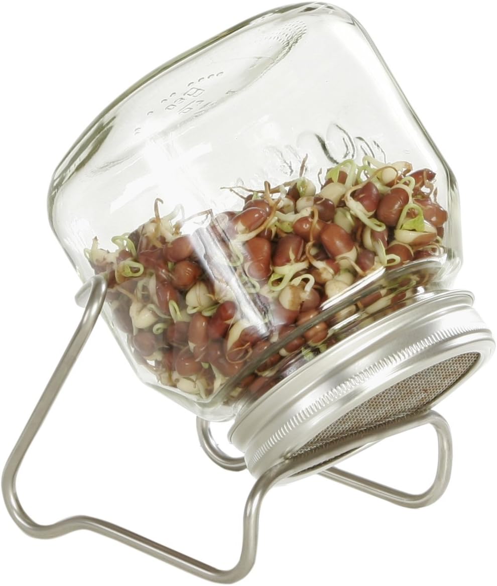Eschenfelder - Germoir en verre 750 ml avec Support en Acier Inoxydable ...