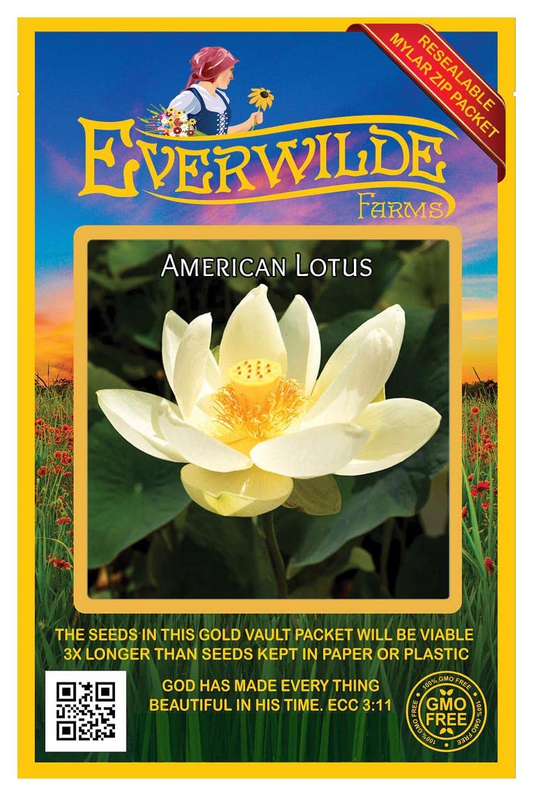 Amazon.com : Everwilde Farms - 3 American Lotus Native Wildflower Seeds ...