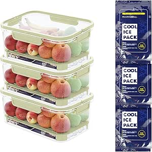 Portable Refrigerator Fresh Food Storage Containers With Divider Plate ...