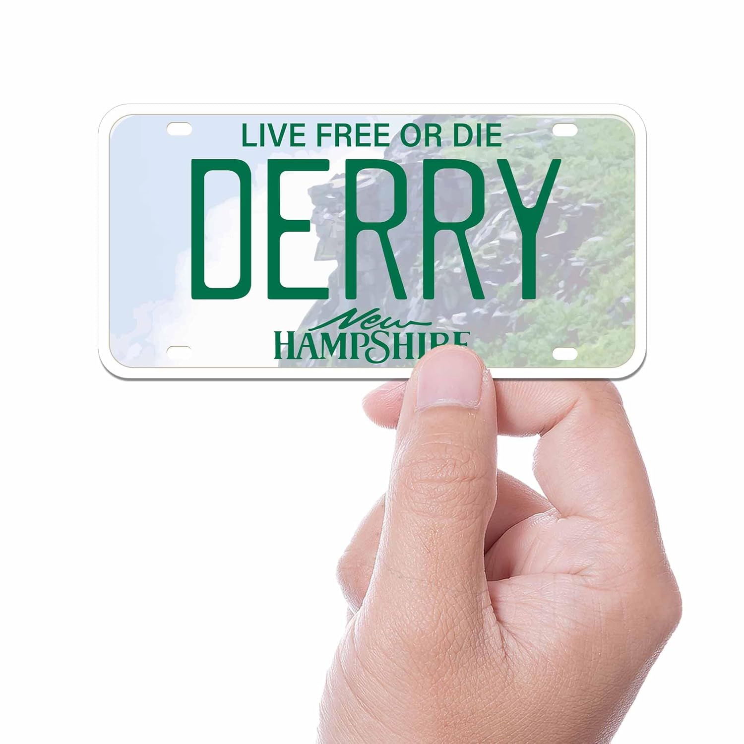 Amazon.com: New Hampshire License Plate Stickers, Choose Your NH City ...